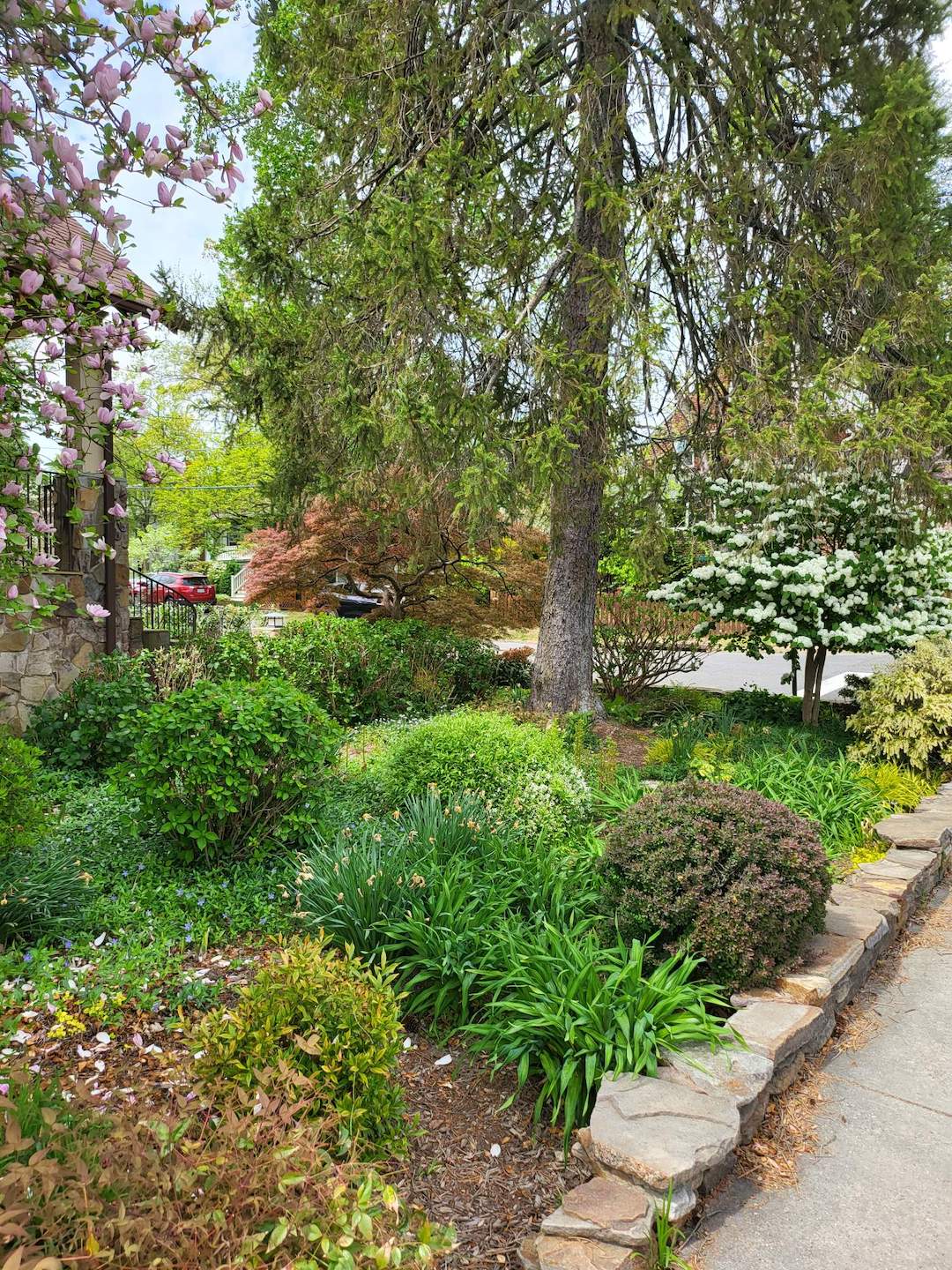 Why Less Lawn is Better